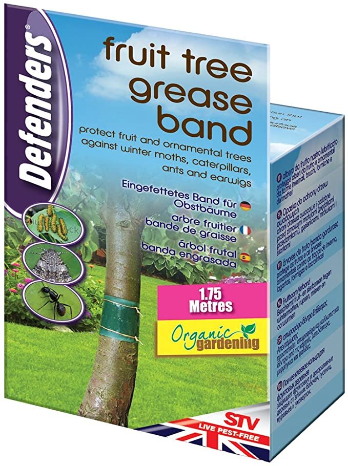 Topbuxus Xentari Box Tree Caterpillar Insecticide Tree Bands For Fruit ...
