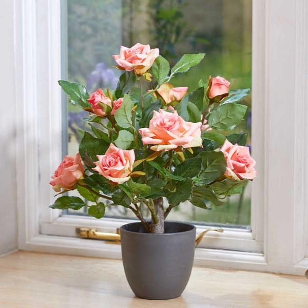 Smart Garden Regent's Roses - Perfect Pink 40cm - Shop - Skylark Garden ...