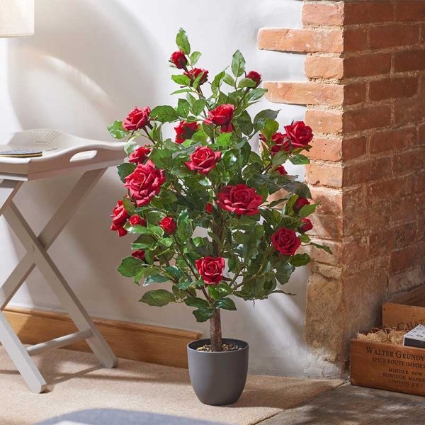 Smart Garden Regent's Roses - Ruby Red 80cm - Shop - Skylark Garden Centre